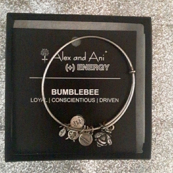 Alex and Ani | Jewelry | Alex And Ani Expandable Bracelet | Poshmark